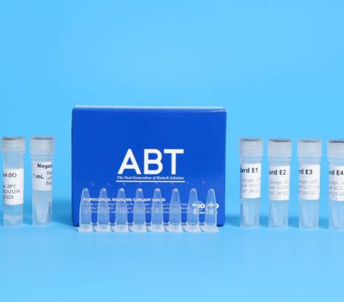 TopSENSI® TREPONEMA PALLIDUM qPCR KIT